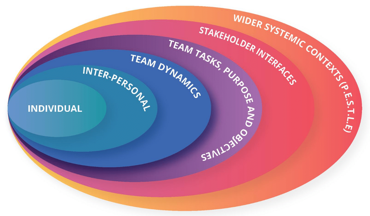 Systemic Team Coaching - Budolph